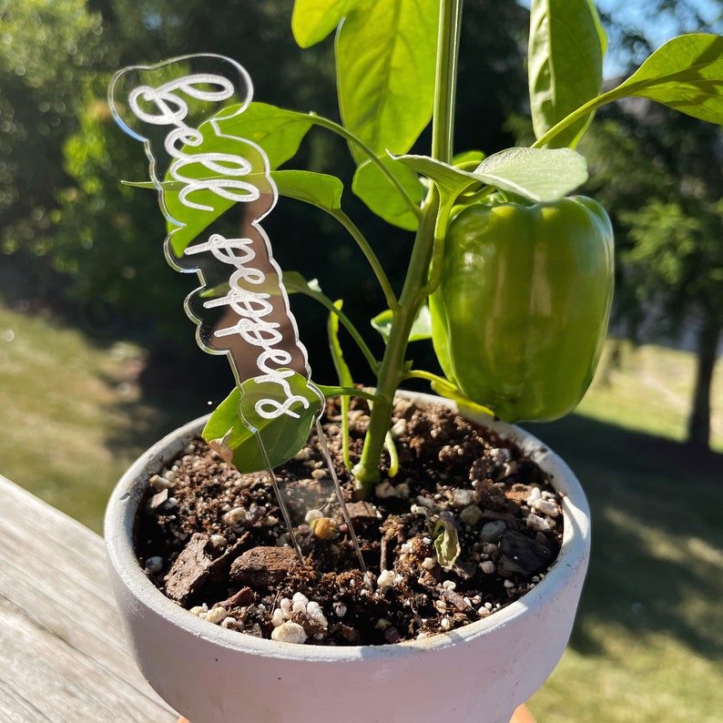 Custom Garden Tags, Clear Acrylic Plant Marker, Plant Label Stick ...