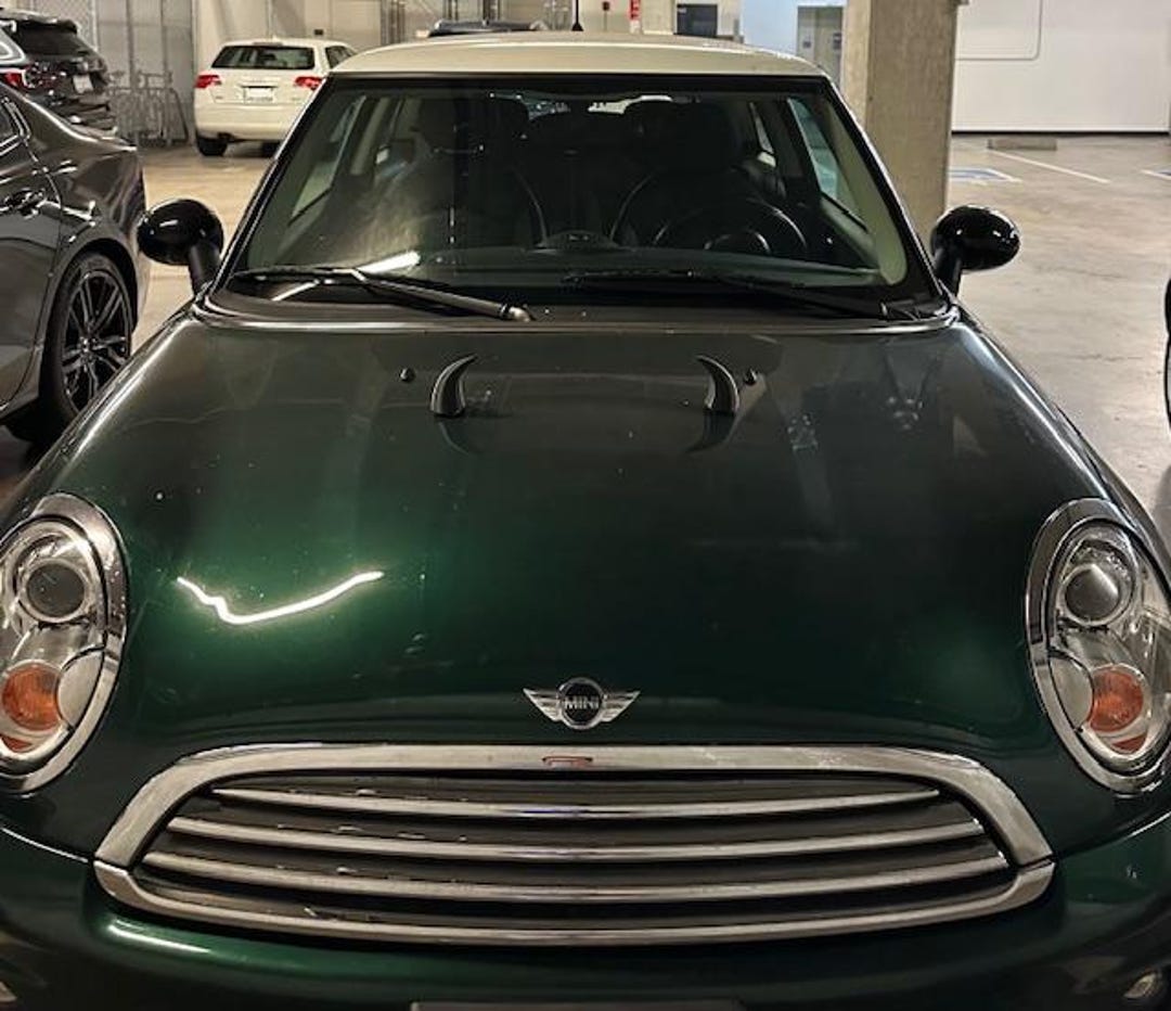 Devil Bull Horns in 3D Blk for Almost ANY CAR or Truck Hood , Trunk or ...