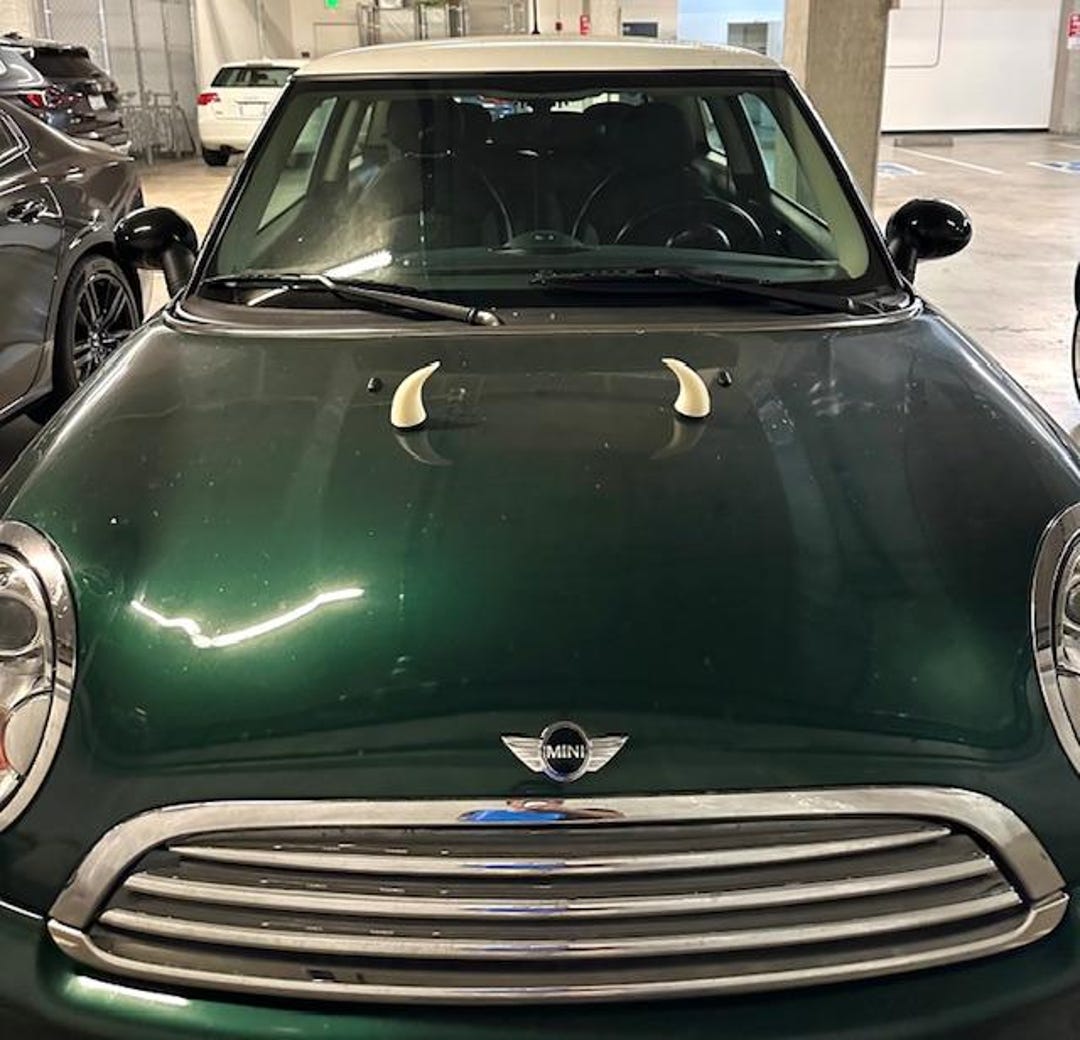 Devil Bull Horns in 3D White for Almost ANY CAR Hood , Trunk or Roof ...