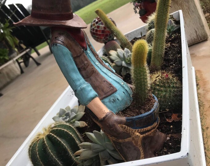 Naughty Cowboy Planter, Cactus Planter, Cowboy, Succulent Planter ...