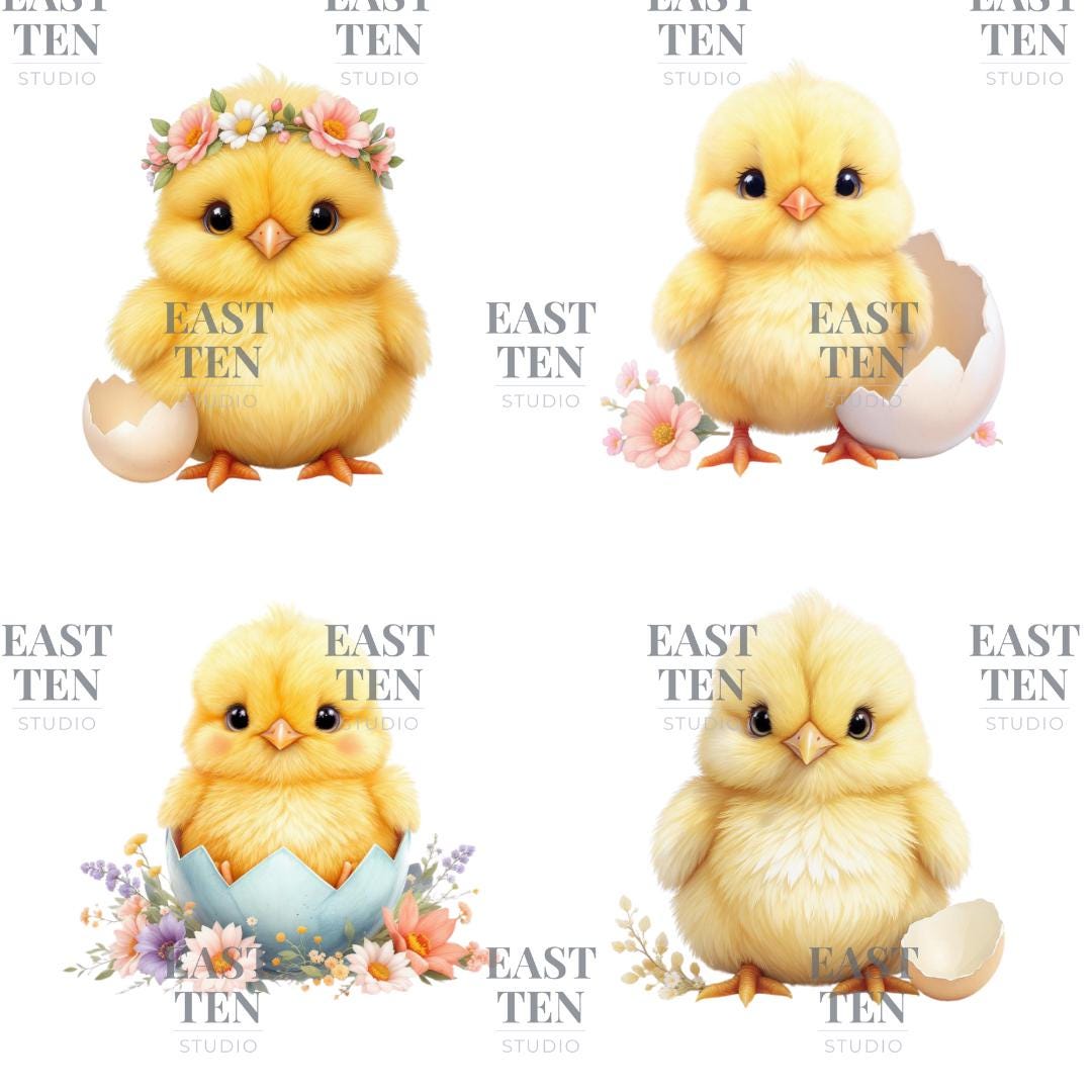 Baby Chick Clipart, Spring Farm Nursery Animal Art, 20 PNG Transparent ...