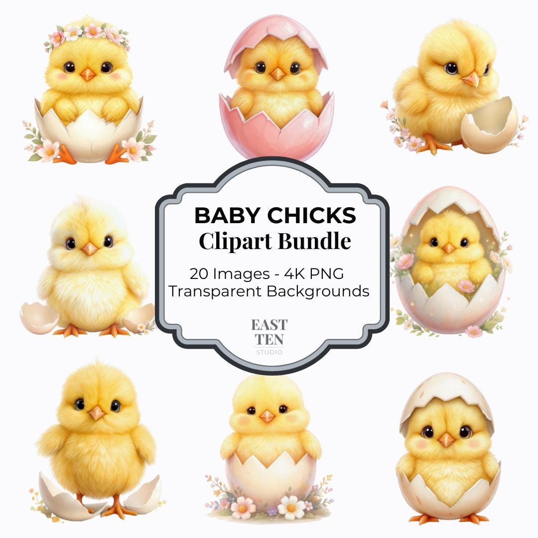Baby Chick Clipart, Spring Farm Nursery Animal Art, 20 PNG Transparent ...