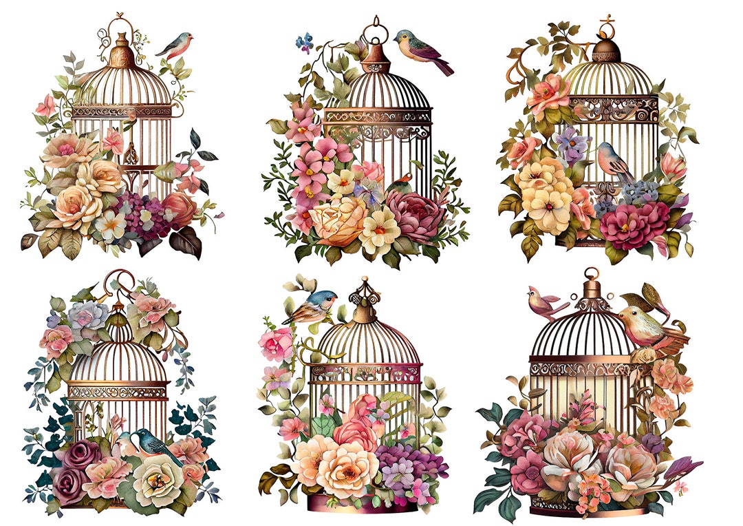 Decoupage Rice Paper, LC Collection, A4 Decoupage Paper, Birdcage Birds ...
