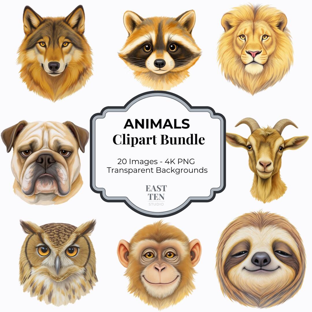 Animals Clipart Bundle – 20 Transparent PNG Images - Etsy