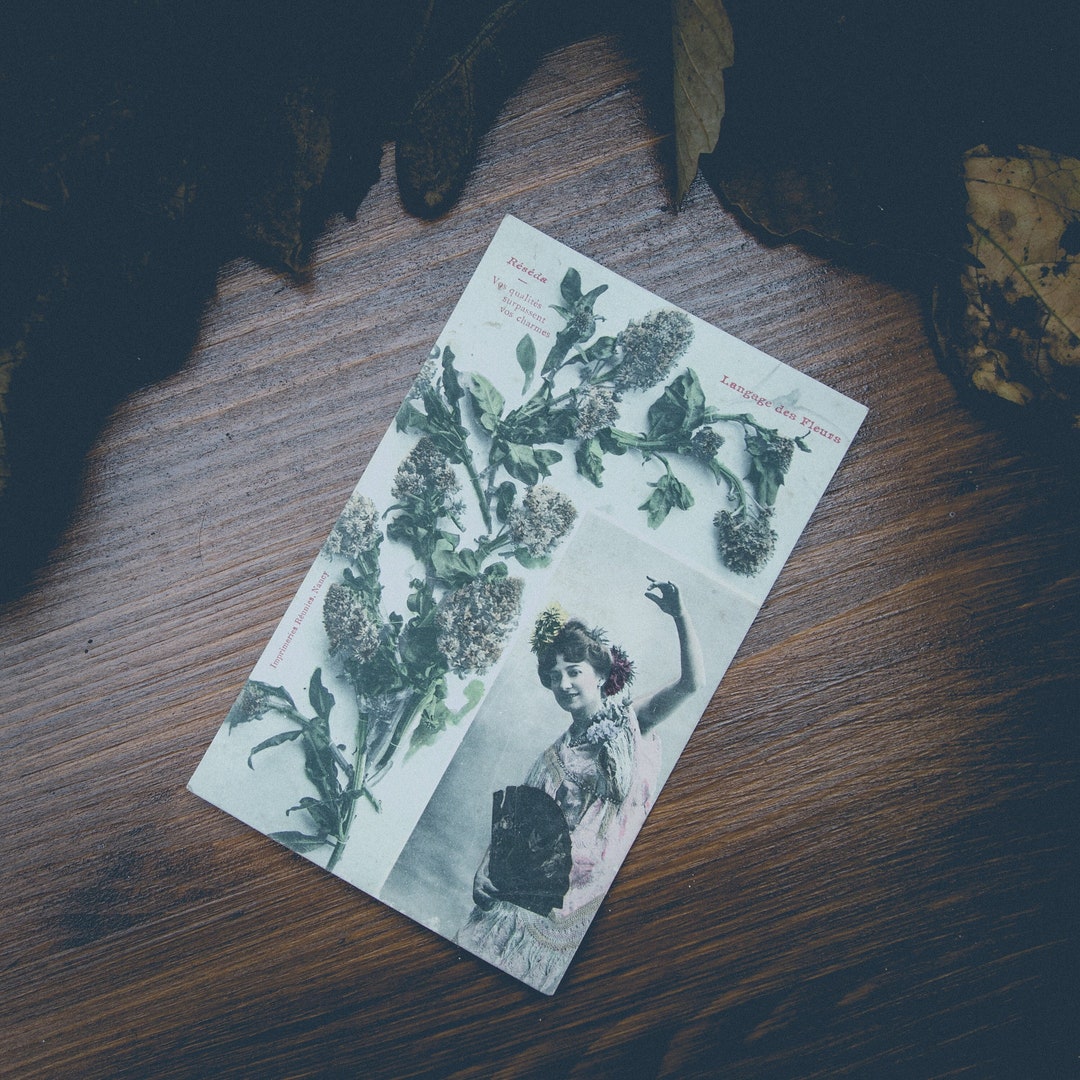 Gorgeous Antique French Postcards, With Beautiful Handwritten Details ...