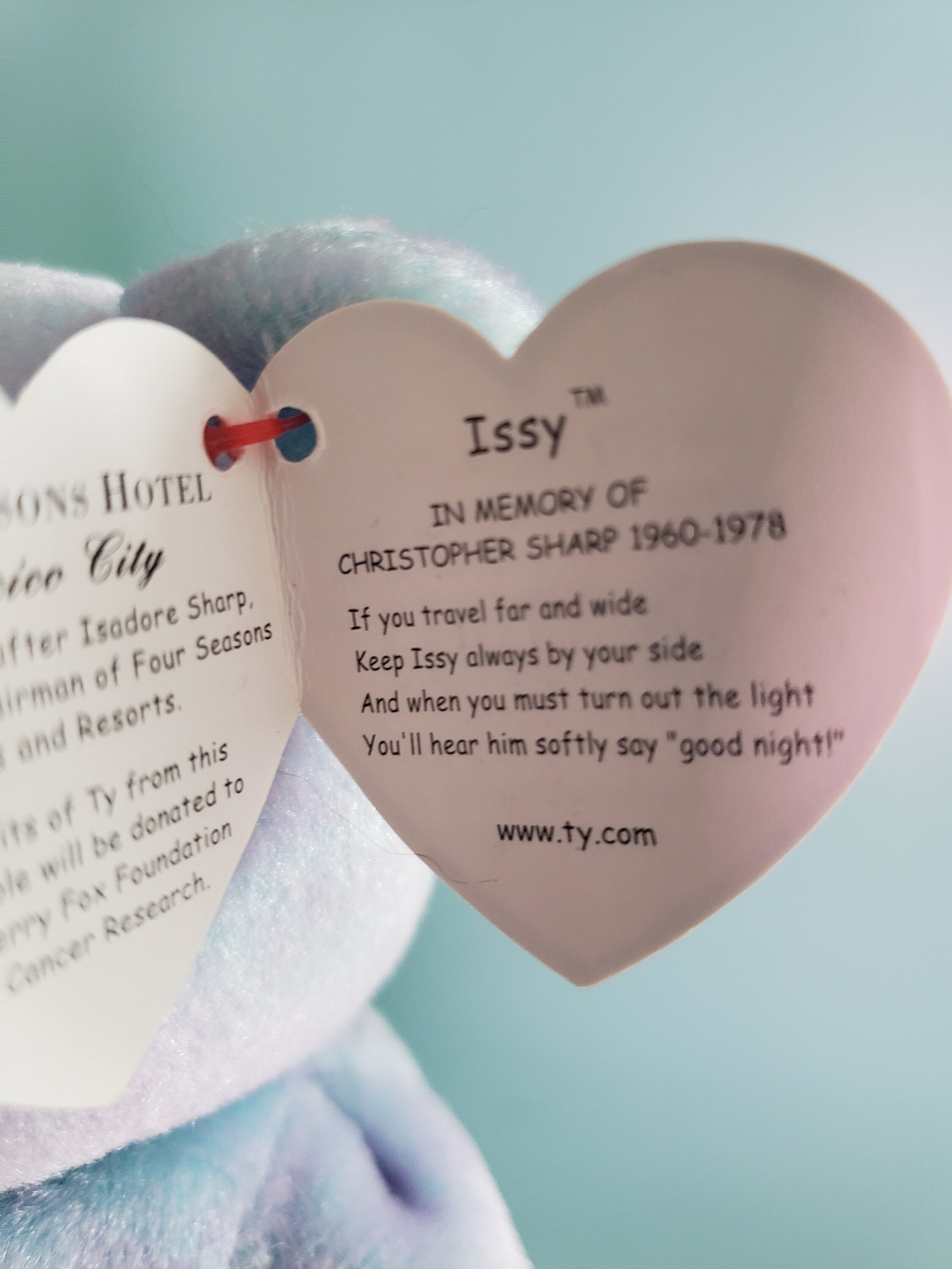 Collectible TY Issy the Bear Mexico - Etsy