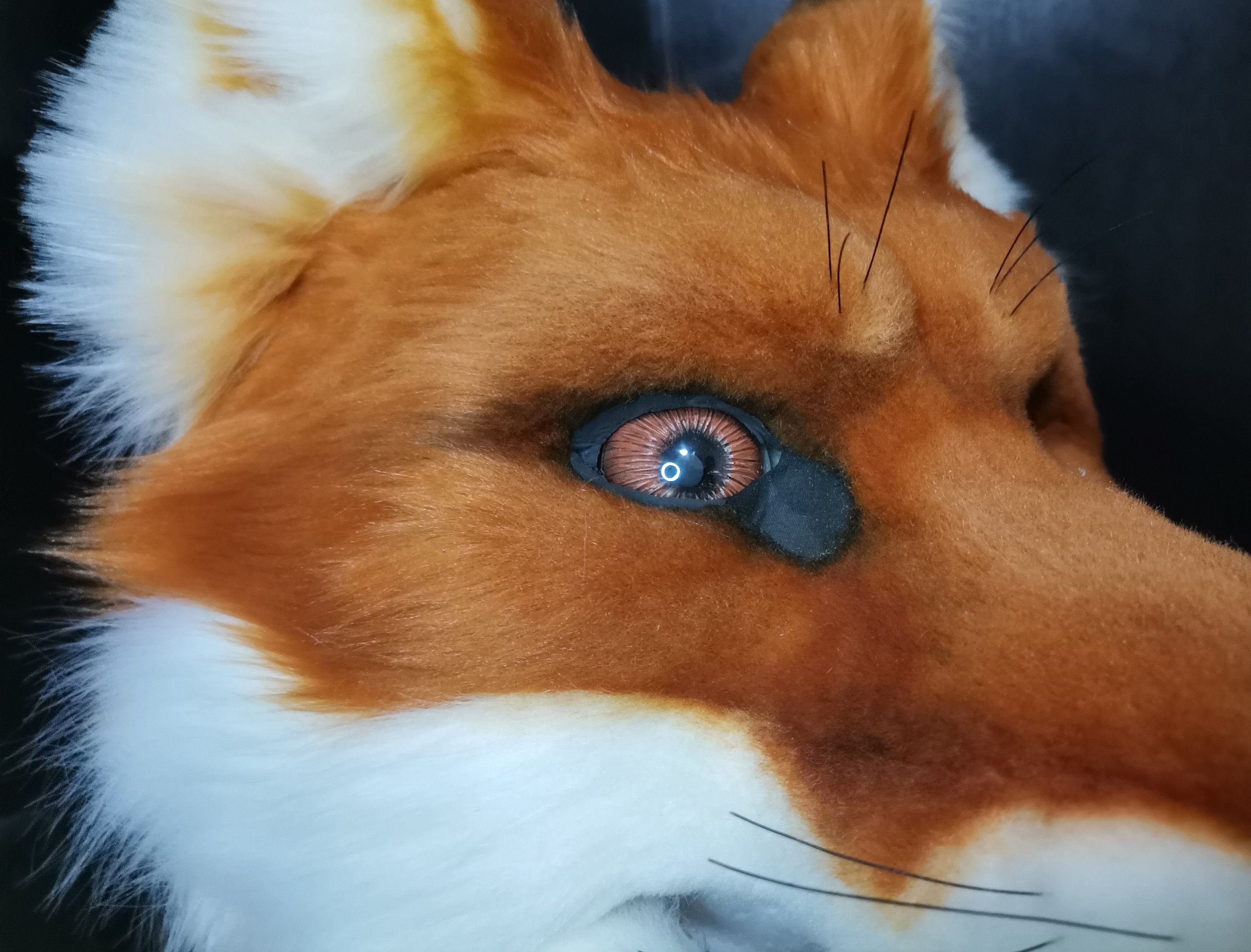 Realistic Fox fursuit head costume prop cosplay animal | Etsy