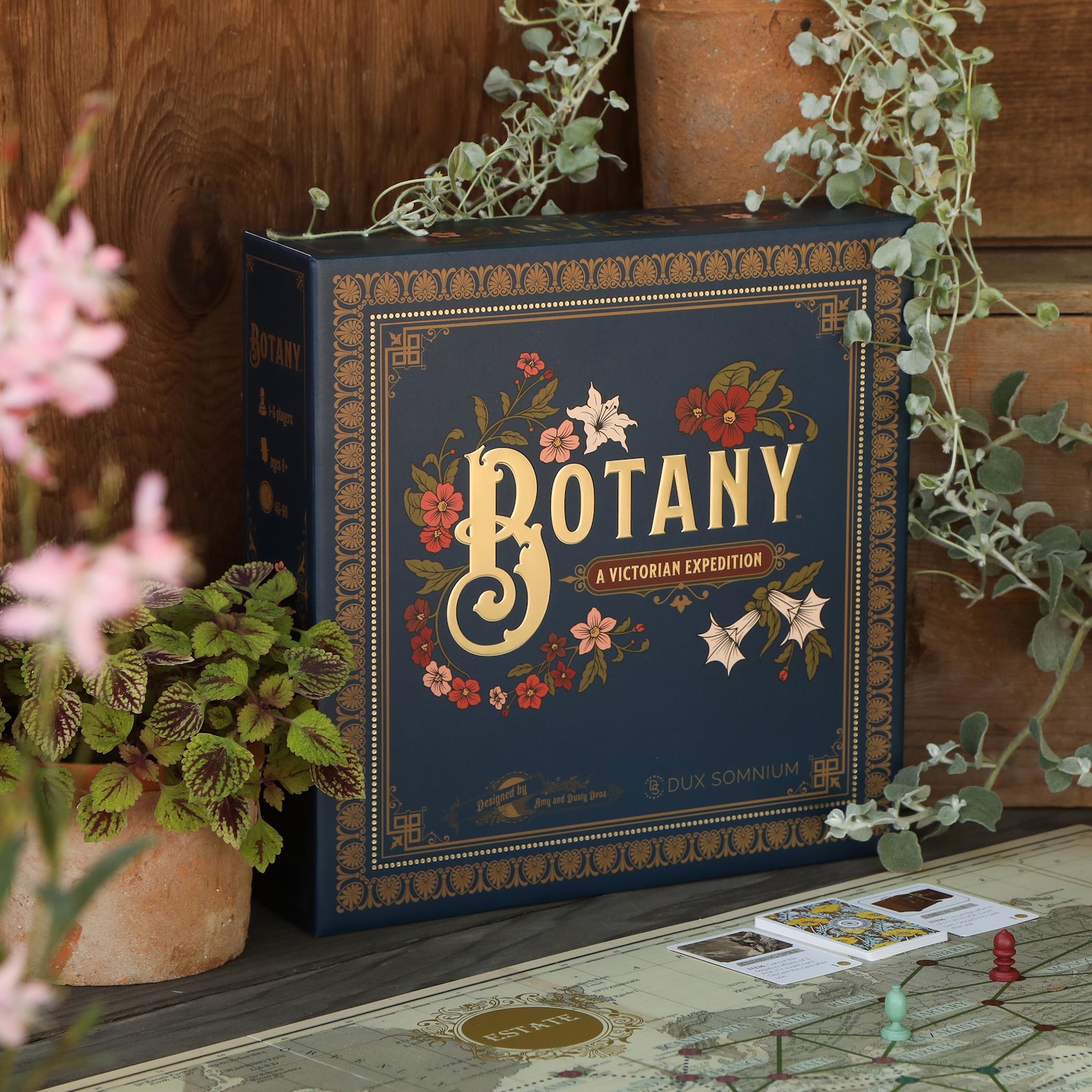 Botany Board Game | Victorian Flower Collecting, Family Game - Etsy
