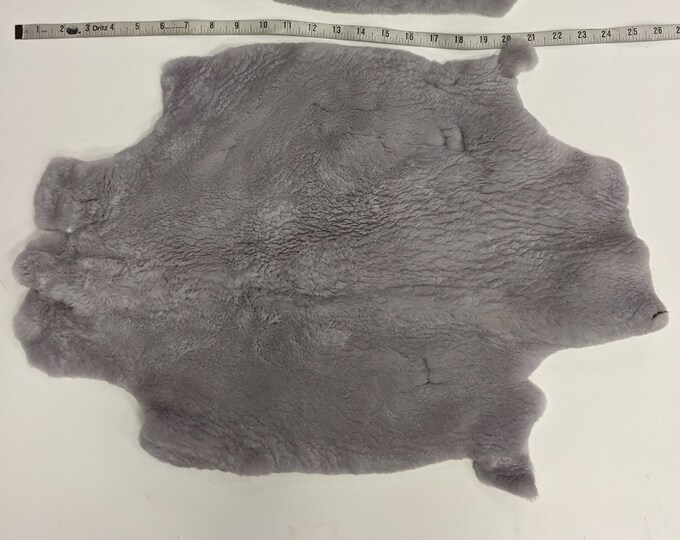 Sheared Beaver Pelts (2) Skins Hides Violet Gray Color - Etsy