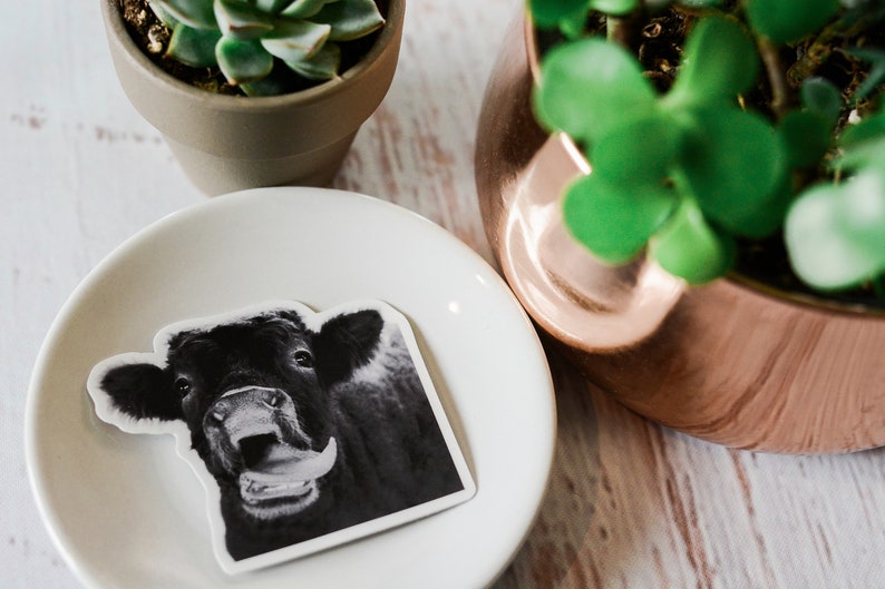 Cow Sticker | Vinyl Waterproof Sticker for Waterbottles, Laptops ...