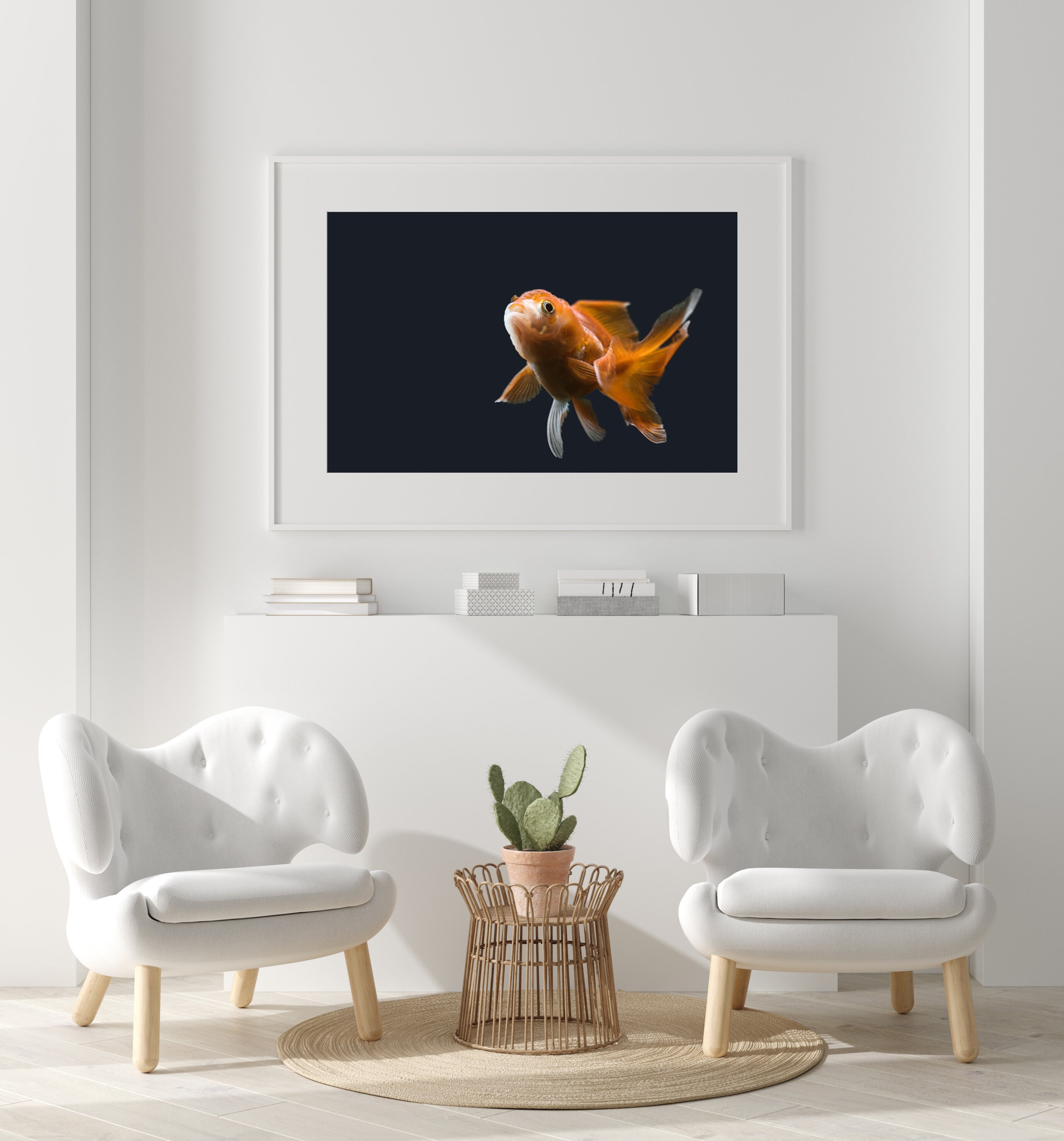 Oranda Goldfish Photograph | Downloadable Print | Animal Wall Art - Etsy