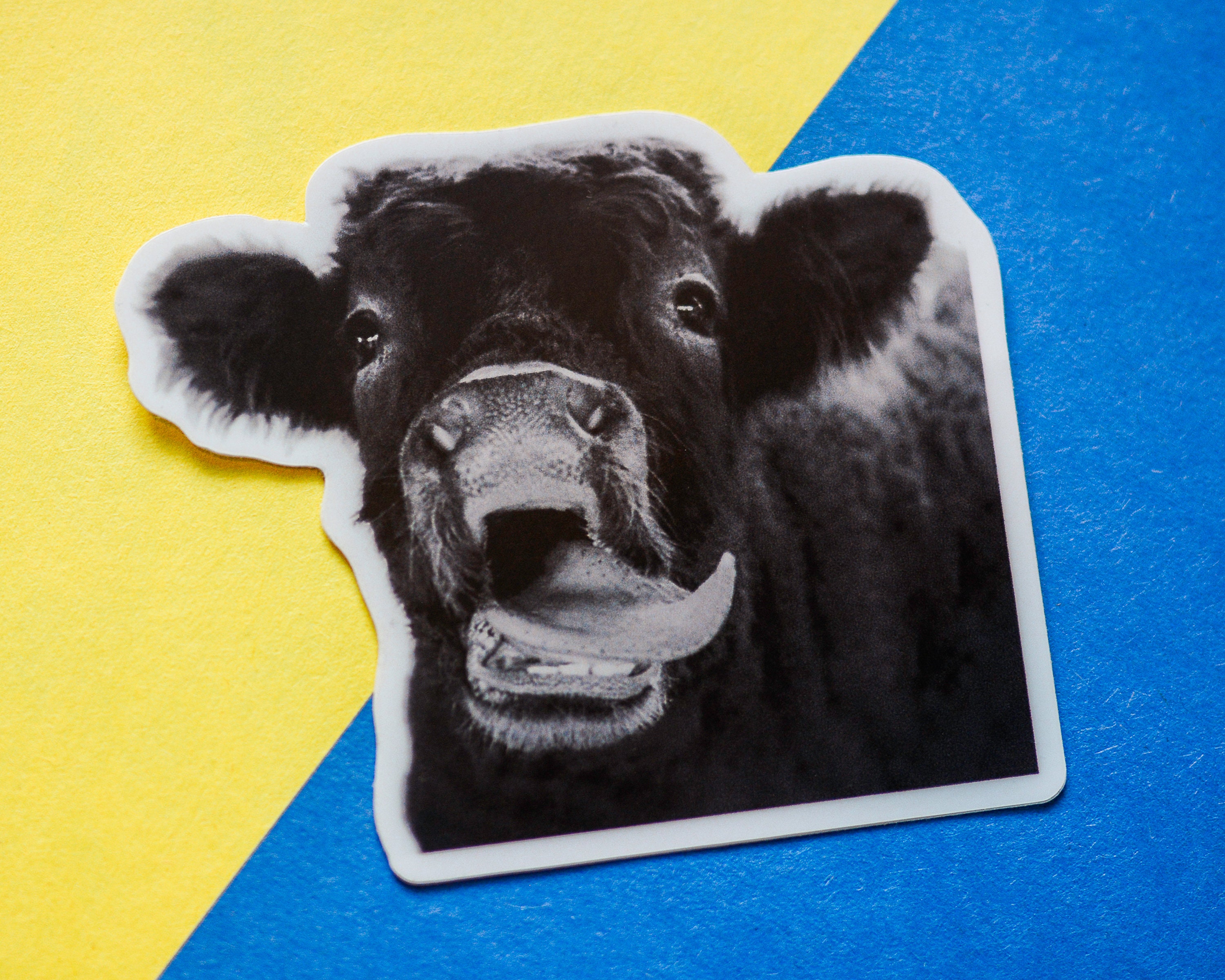 Cow Sticker Vinyl Waterproof Sticker for Waterbottles - Etsy