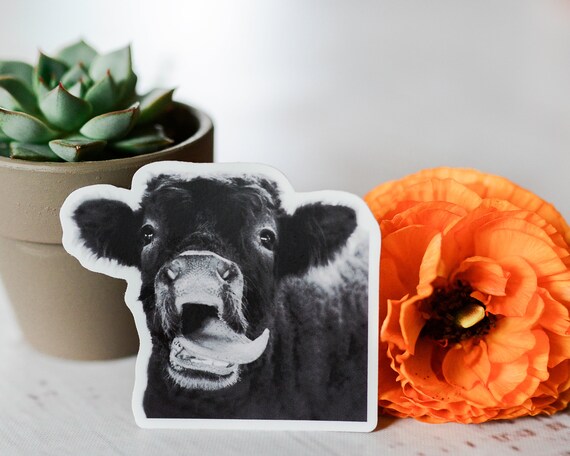 Cow Sticker Vinyl Waterproof Sticker for Waterbottles | Etsy