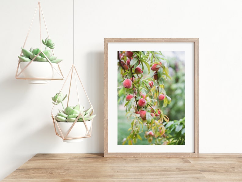 Peaches for Me Digital Download Print | Food Photography | Farmhouse ...