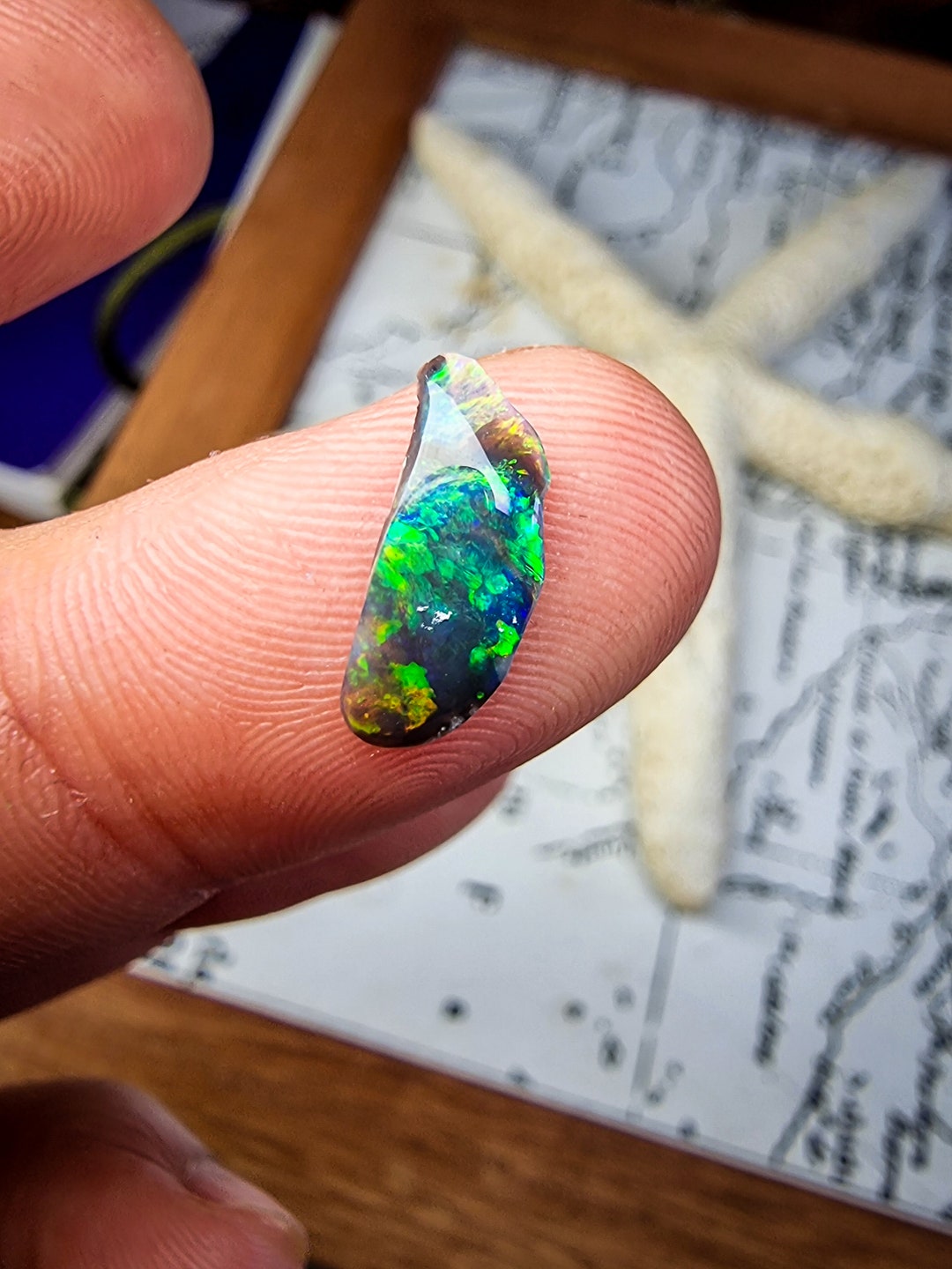 Pretty Black Opal From Australia, Lightning Ridge, 0.83 Carats - Etsy