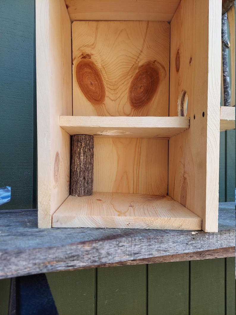 Extra Large Squirrel House Squirrel Nesting Box Wooden - Etsy