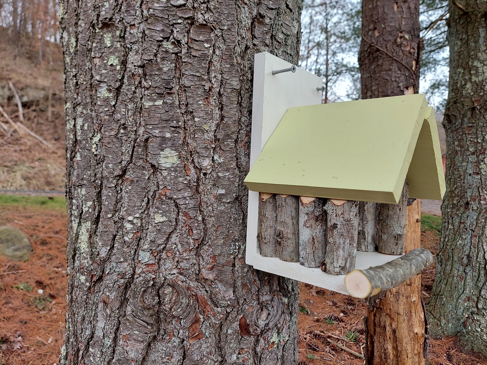 Wild Bird Nest Platform, Nesting Box, Small Wild Bird Nest, Wooden ...