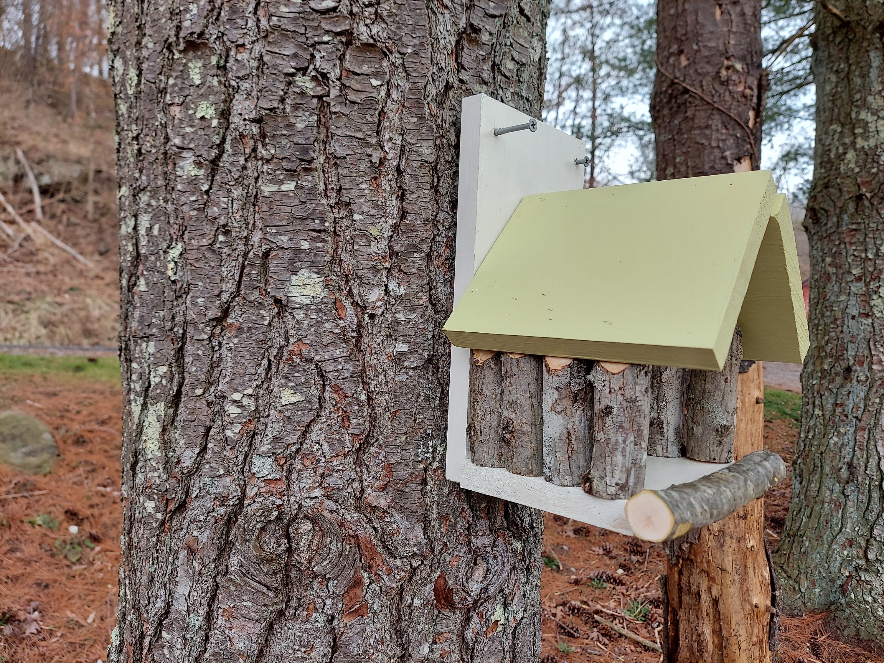 Wild Bird Nest Platform, Nesting Box, Small Wild Bird Nest, Wooden ...