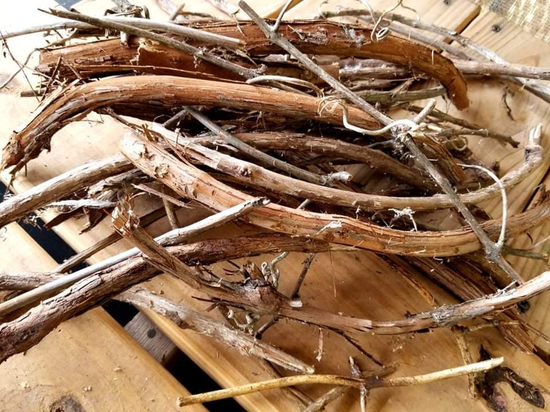 Grapevine Craft Bundle, 1 Pound Bundle, DIY Crafts, Grapevines, Wreath ...