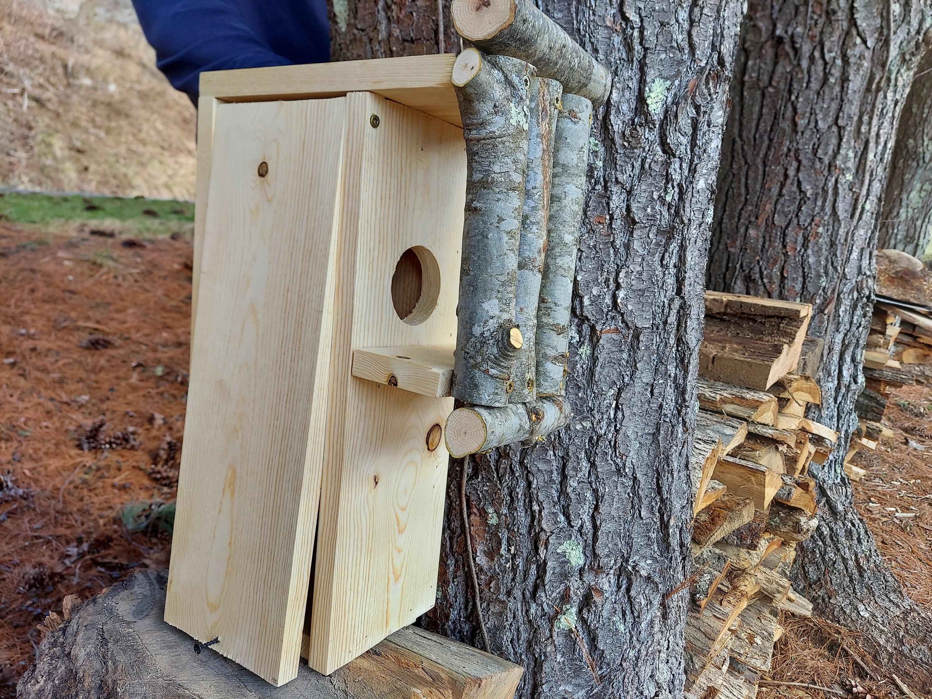Squirrel House, Squirrel Nesting Box, Wooden Squirrel Habitat, Squirrel ...