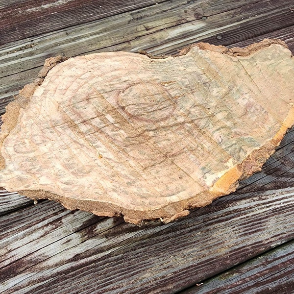 Burl Wood - Etsy