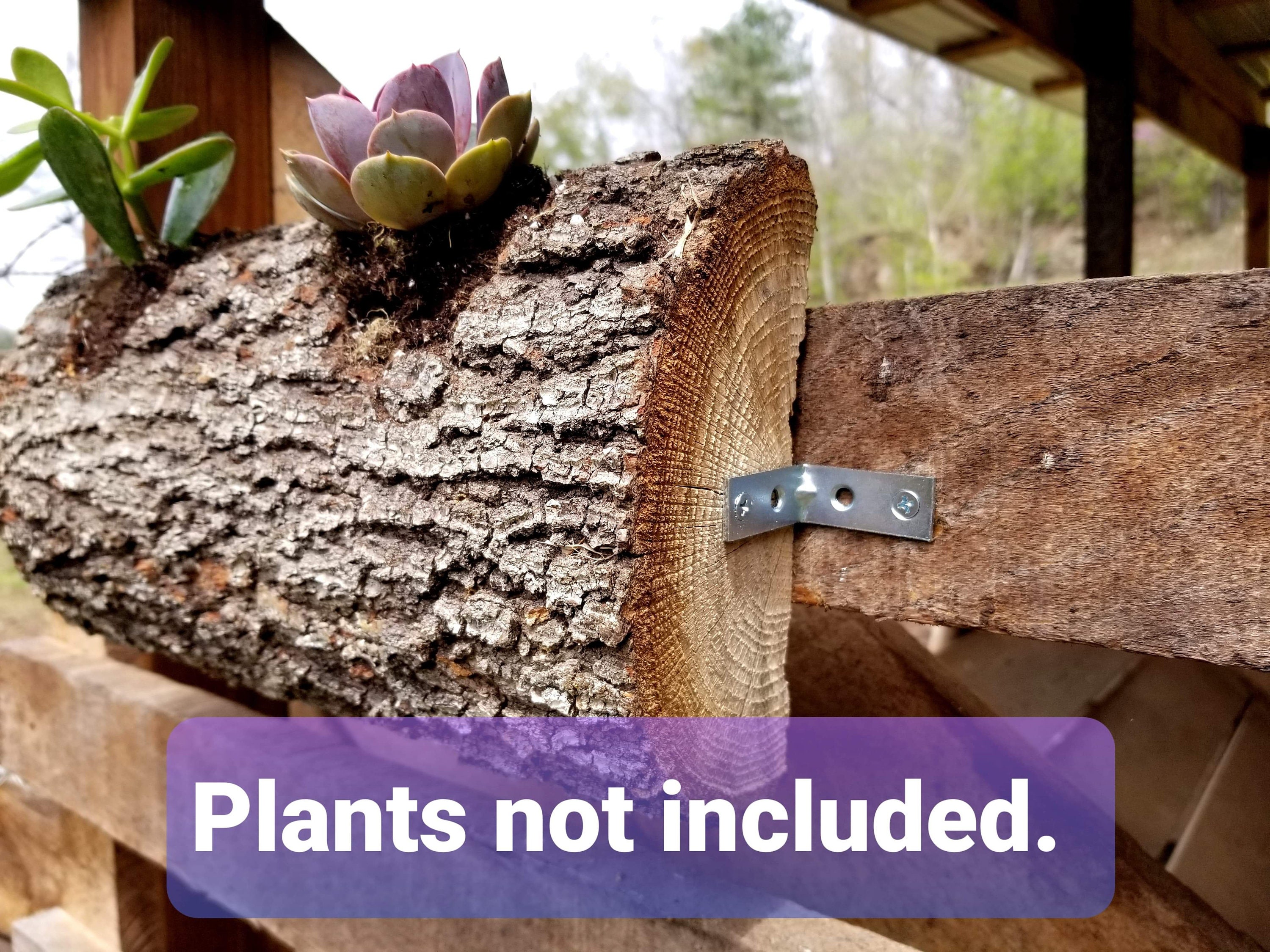 Hanging Log Planter One Rustic Planter Wooden Planter - Etsy