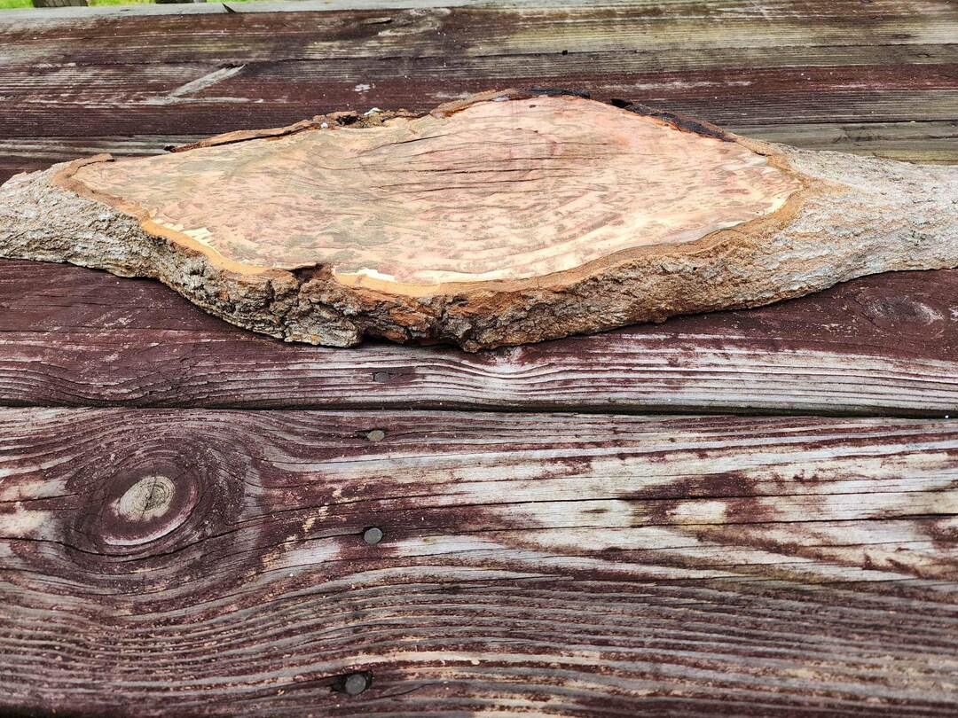Maple Burl Slab, Wood Slab, Natural Wood Slices, Wood DIY Crafts, Craft ...