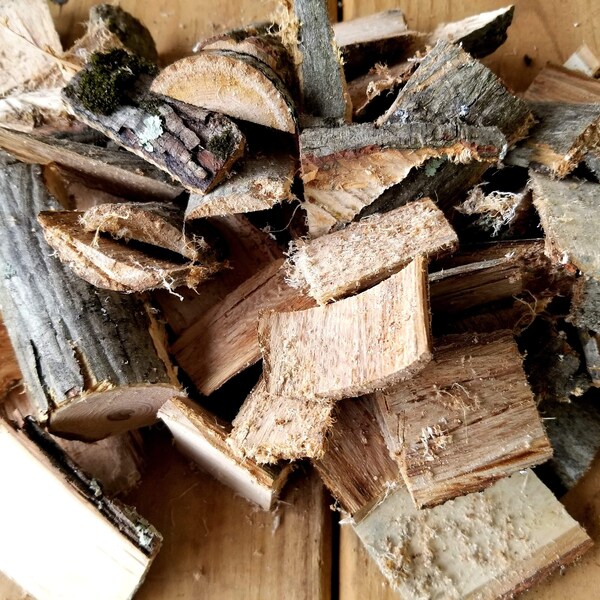 Hickory Wood Slices - Etsy