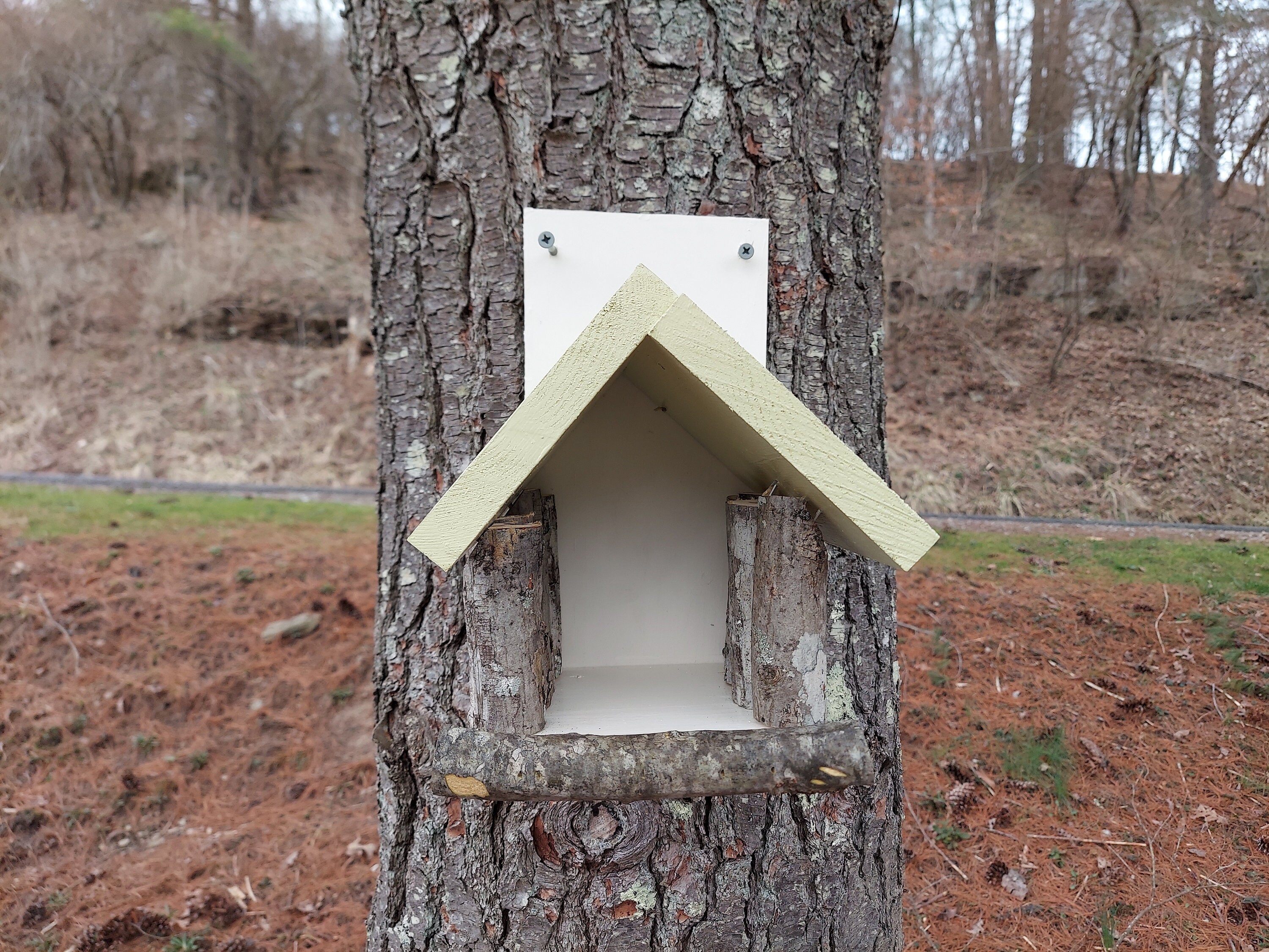 Wild Bird Nest Platform, Nesting Box, Small Wild Bird Nest, Wooden ...