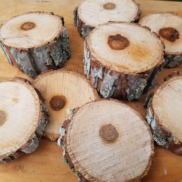 Log Slices - Etsy