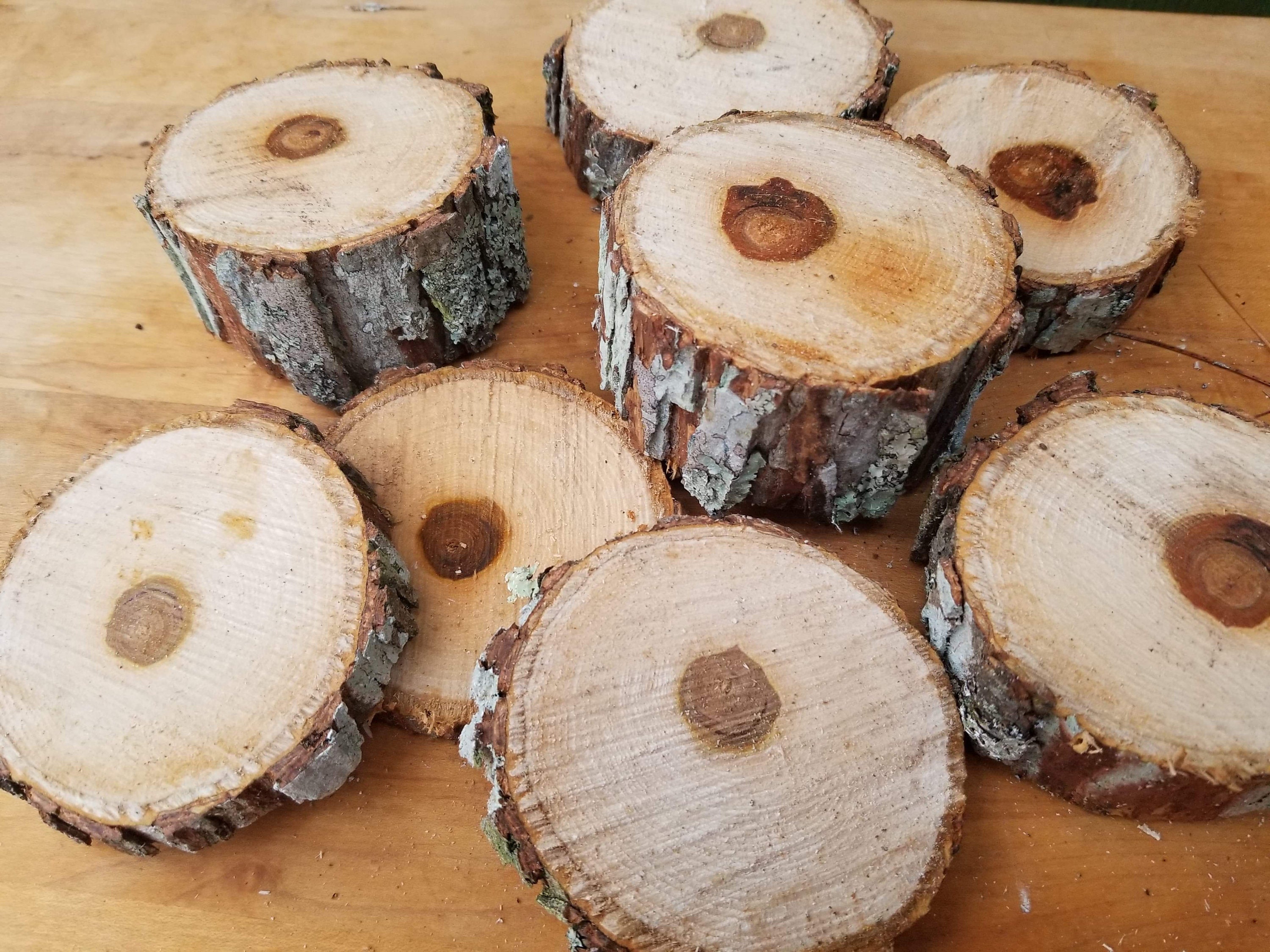 Mini Hickory Slices, Log Slices, DIY Crafts, Live Edge Wood, Rustic ...