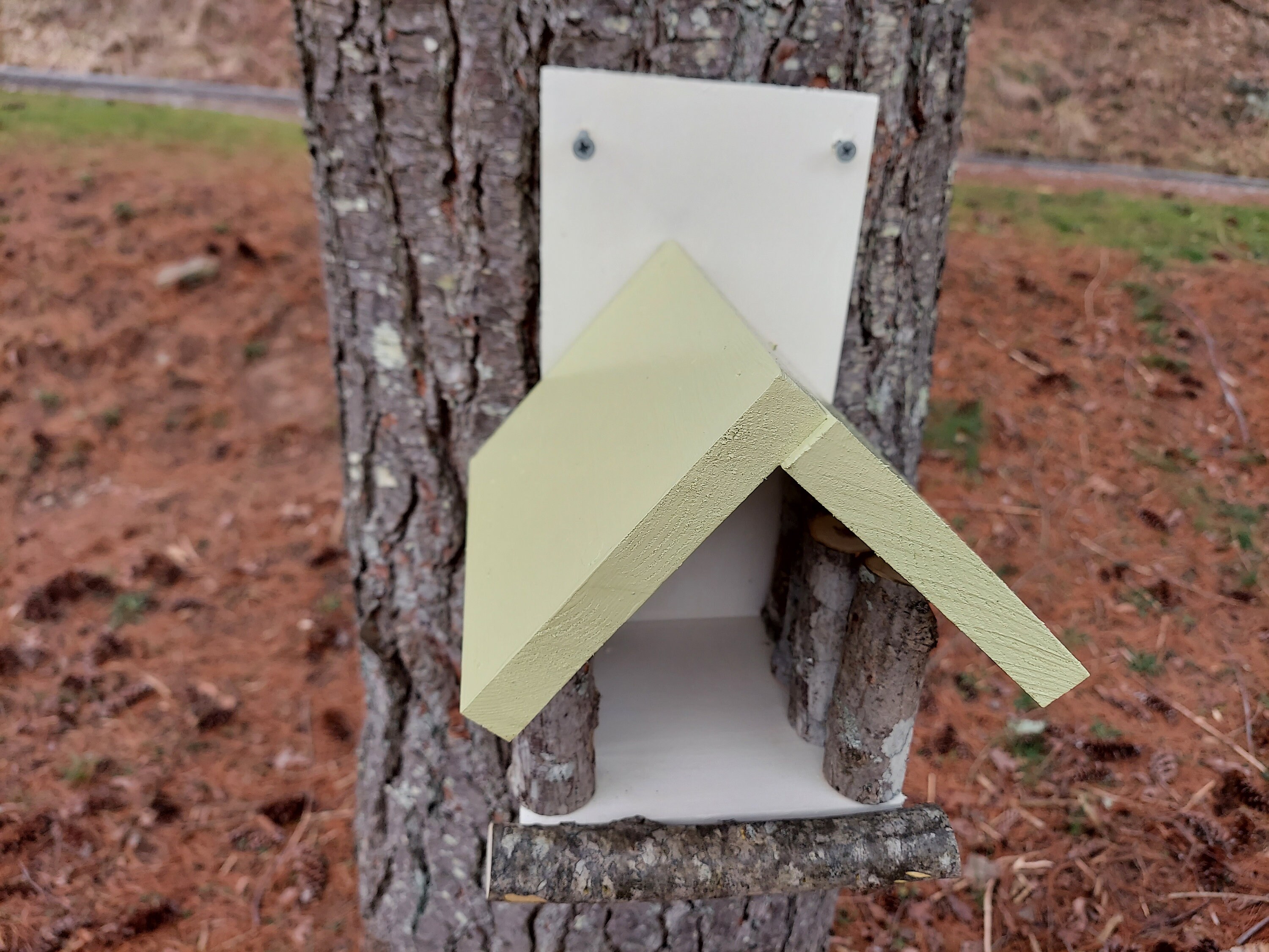 Wild Bird Nest Platform, Nesting Box, Small Wild Bird Nest, Wooden ...