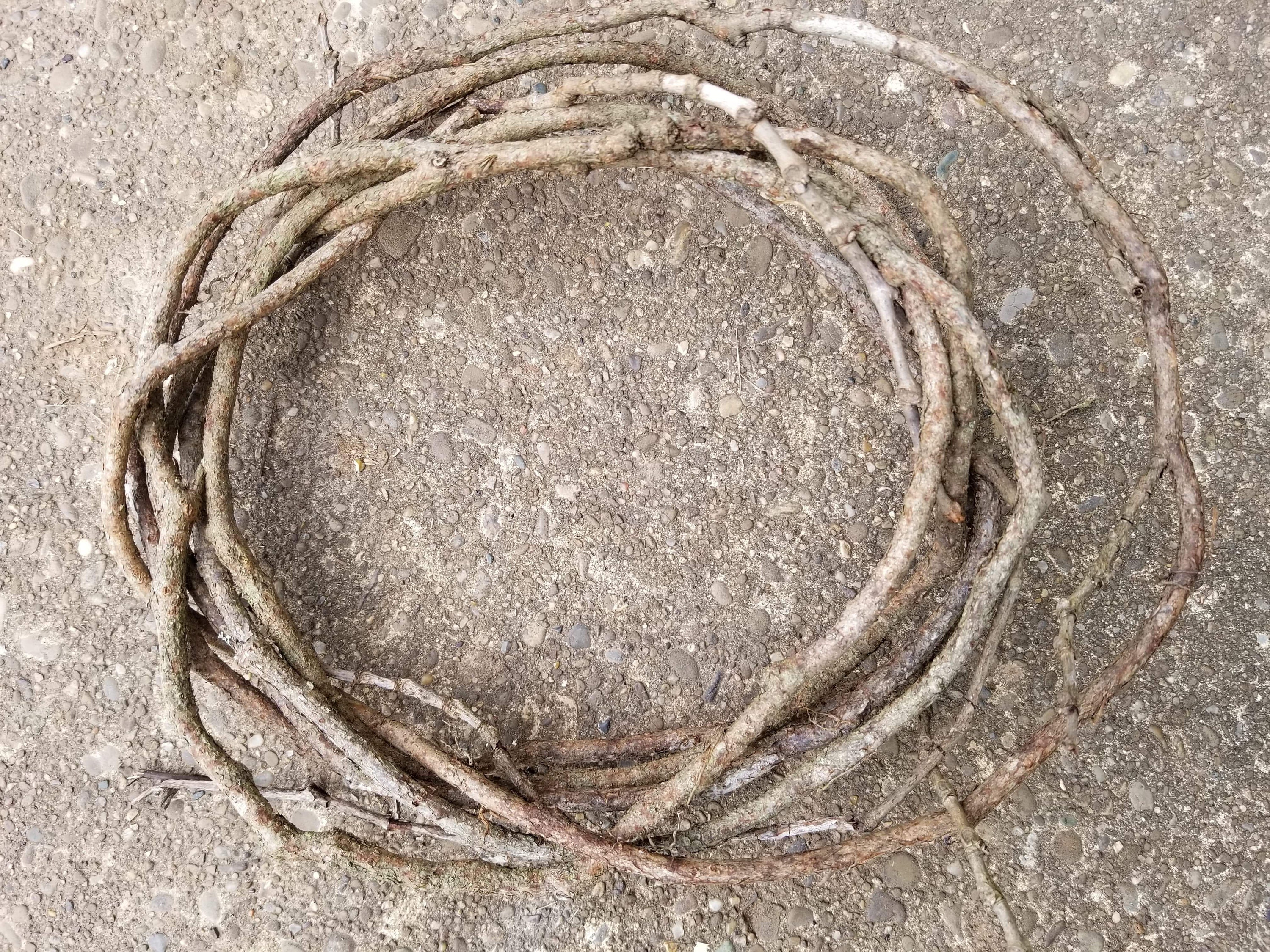 14 Feet Fresh Grapevine, DIY Crafts, Rustic Decor, Grapevines, Wreath ...