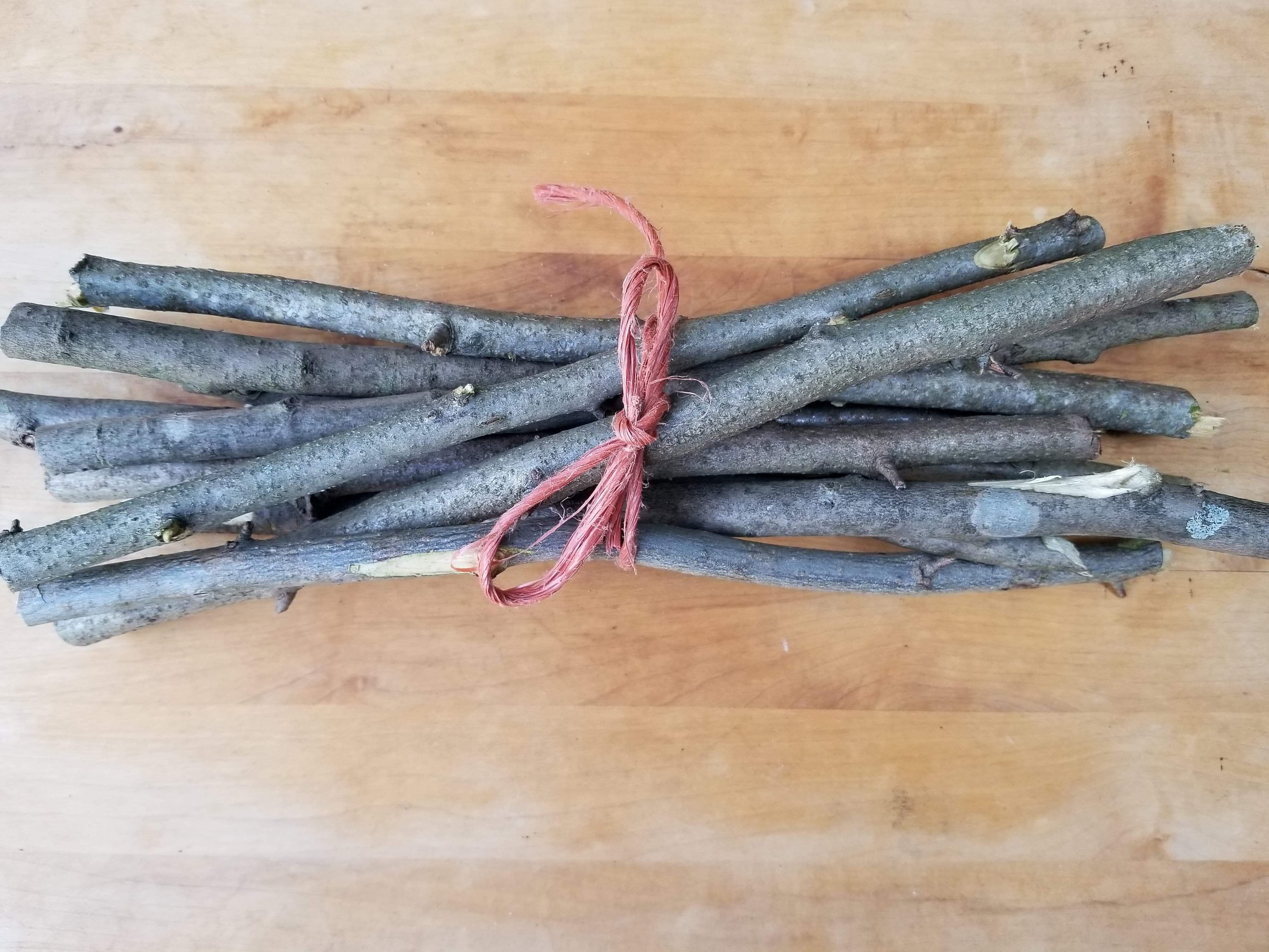 Autumn Olive Branch Bundle, Craft Branches, DIY Crafts, Live Edge Wood ...