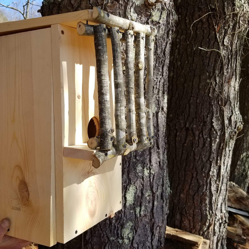 Squirrel House With Camera - Etsy