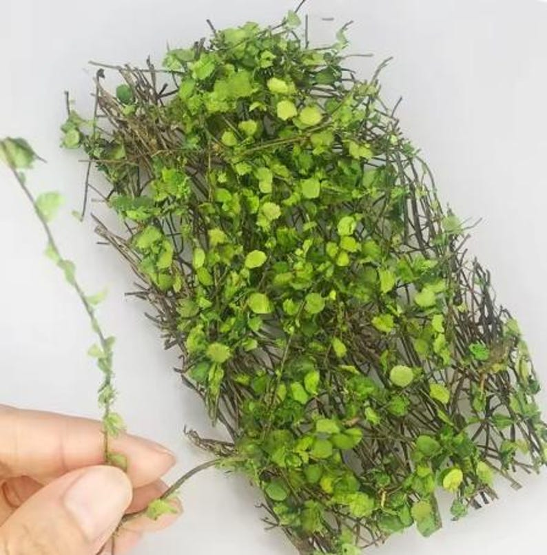 1 Box Miniature Green Vine Ivy Grass | Miniature Plant Vines for Fairy ...