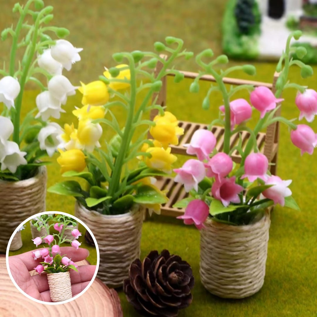 1pc Miniature Lily of the Valley Plant in Pot, Bonsai Miniature Lily ...