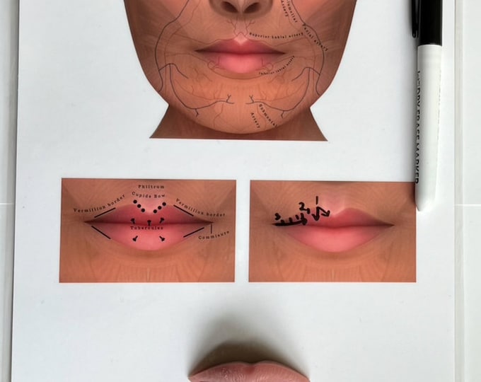 Lip Filler Injection Practice Board With Facial Anatomy Arteries and ...