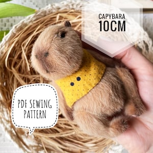 Stuffed Capybara Sewing Pattern PDF With Clothes (10cm) - Etsy