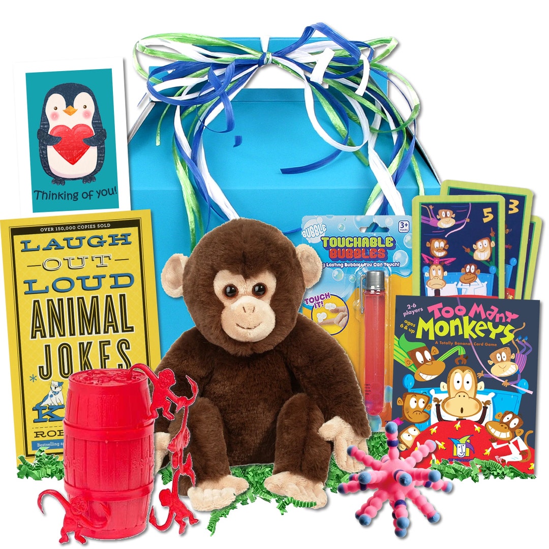 Monkeyshines Kid's Gift Basket - Etsy