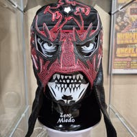 Lucha Libre Mask Figure Cero Miedo Canek - Etsy