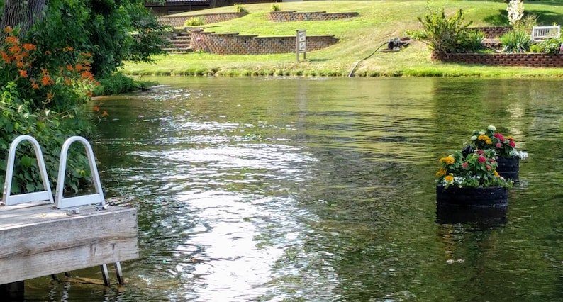 Floating Garden | Flower Pot for Lakes and Ponds - Etsy