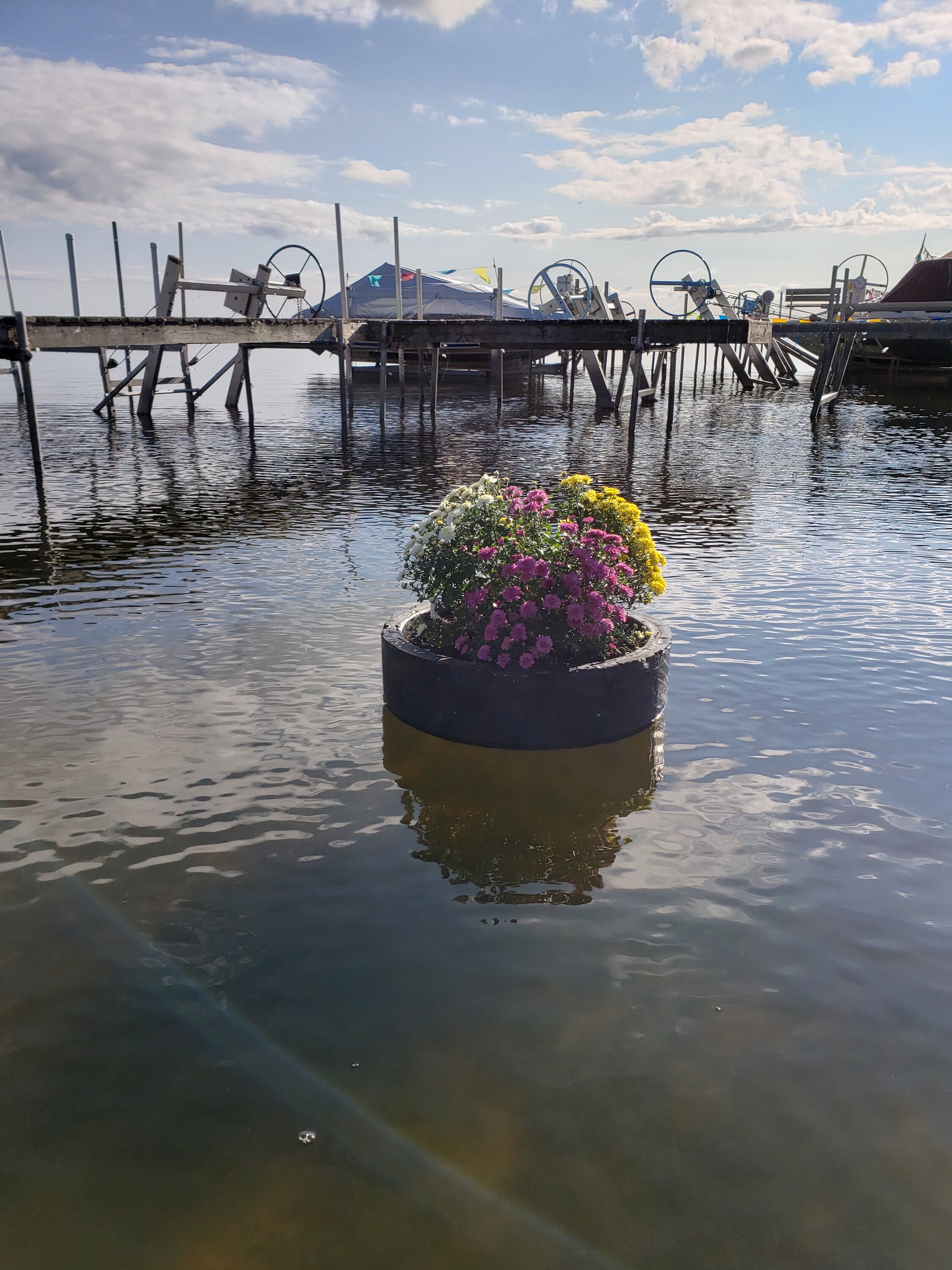 Floating Garden | Flower Pot for Lakes and Ponds - Etsy