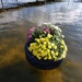 Floating Garden | Flower Pot for Lakes and Ponds - Etsy