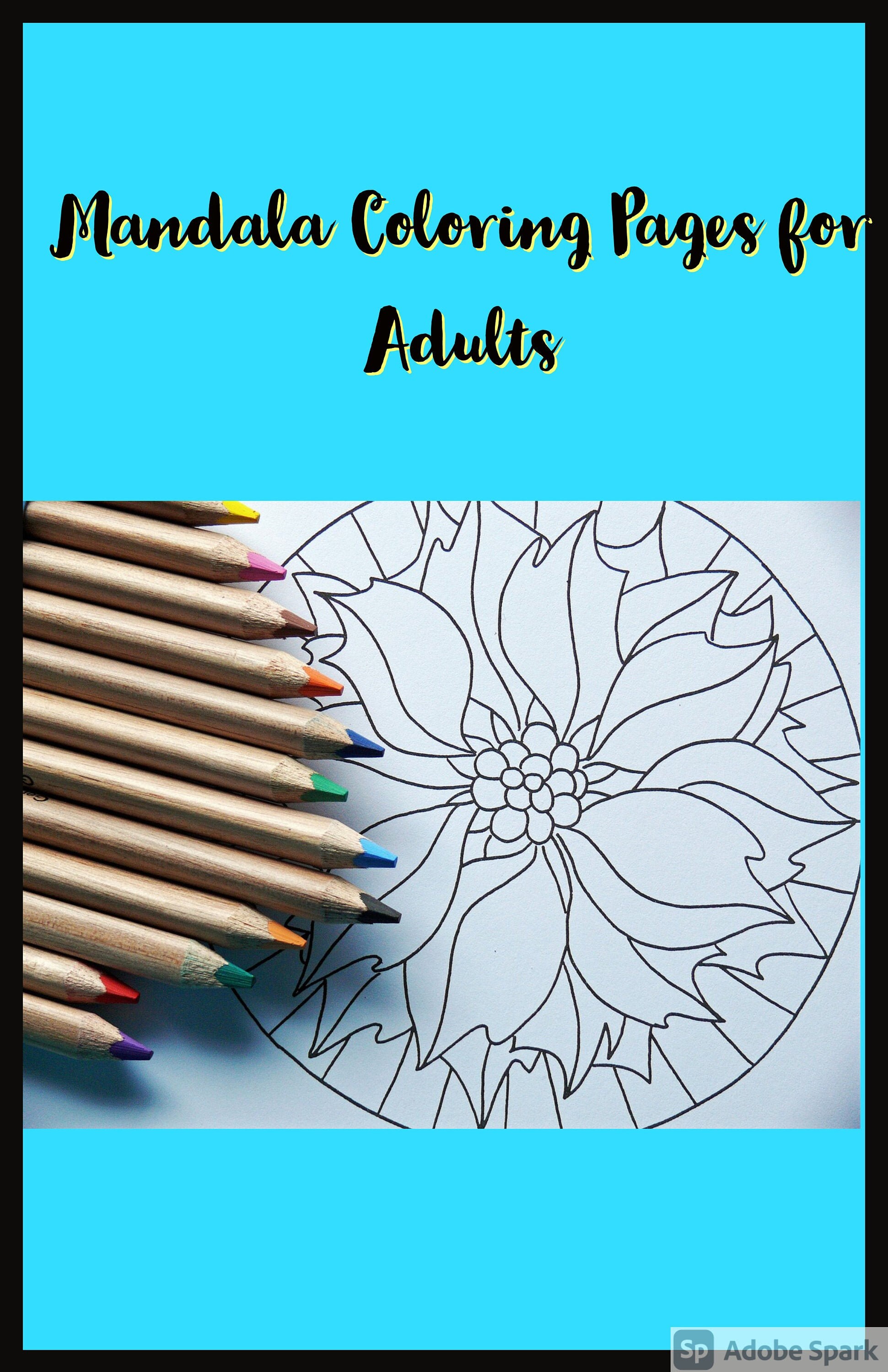 160 Digital Mandala Coloring Pages for Adults - Etsy