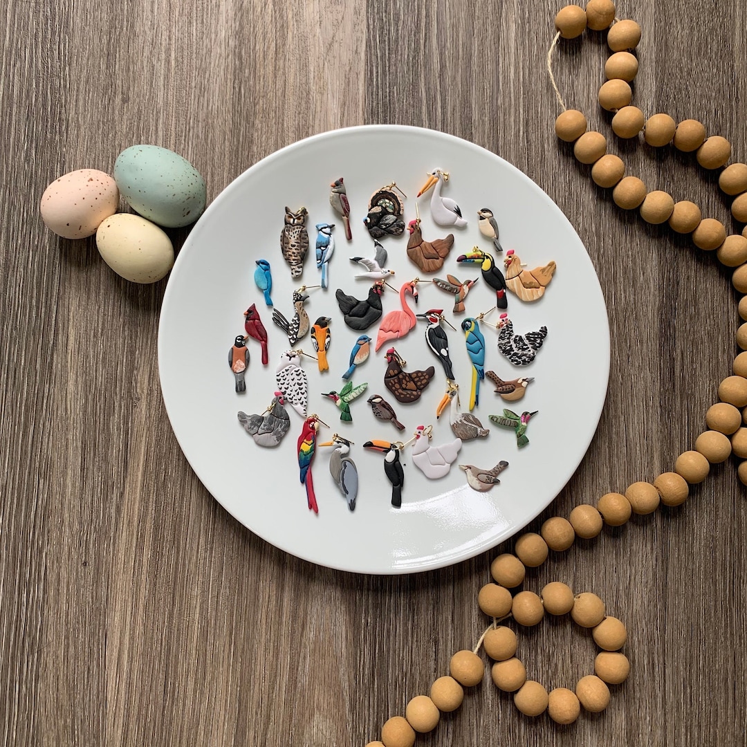 Ornithology Collection (bird Lovers/bird Watchers Collection) - Polymer ...