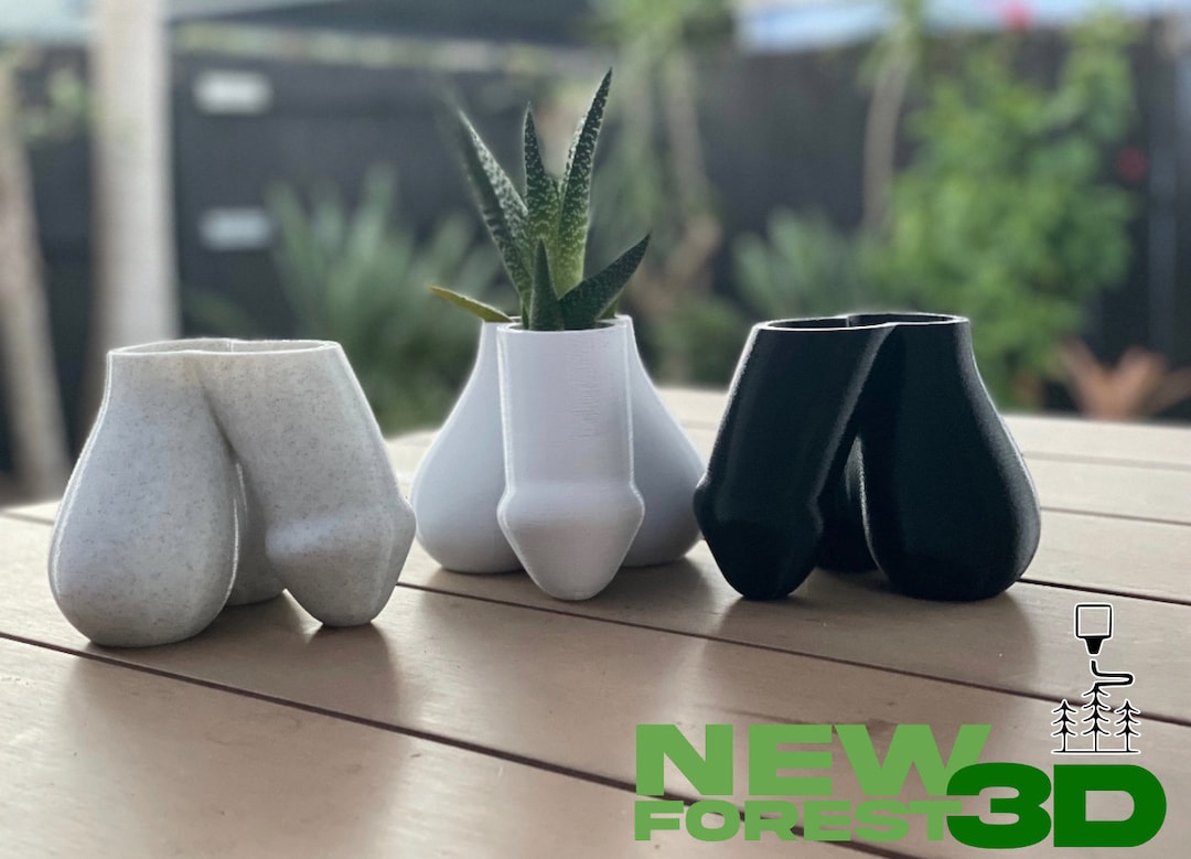 Funny Penis Planter STL File, Digital 3D Print, Naughty Hen Party Gift ...