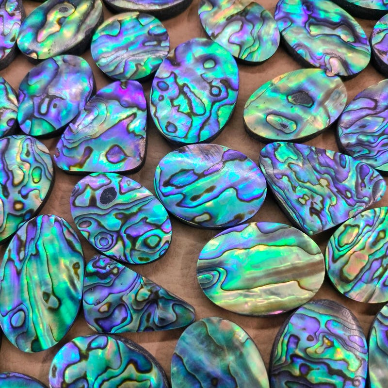 Abalone Cabochons - Etsy