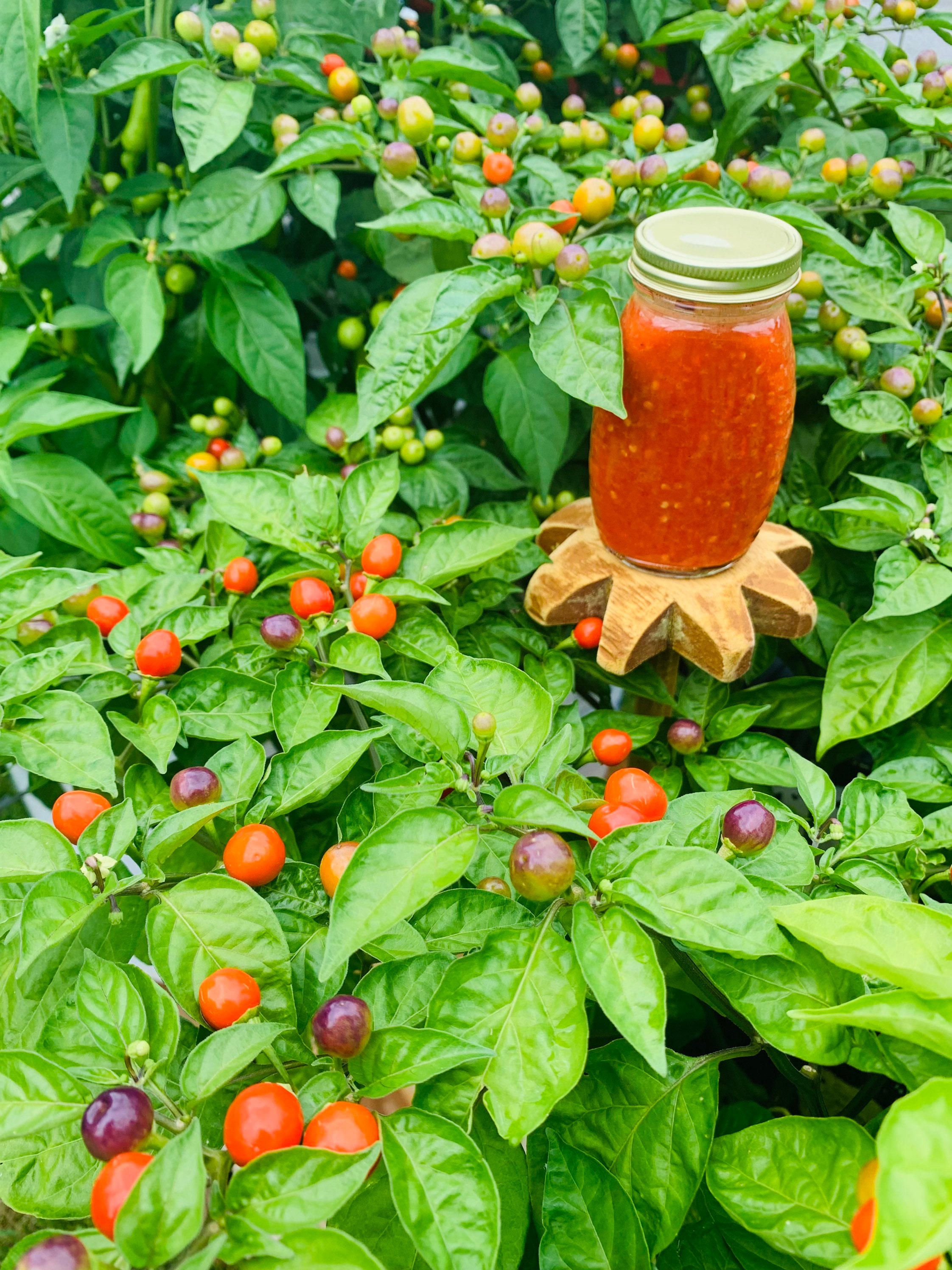 Guyana Wiri Wiri Pepper Hot Sauce - Etsy