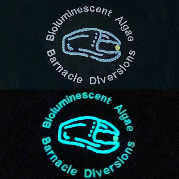 Embroidered T-shirt or Sweatshirt Moana Shiny Barnacle - Etsy